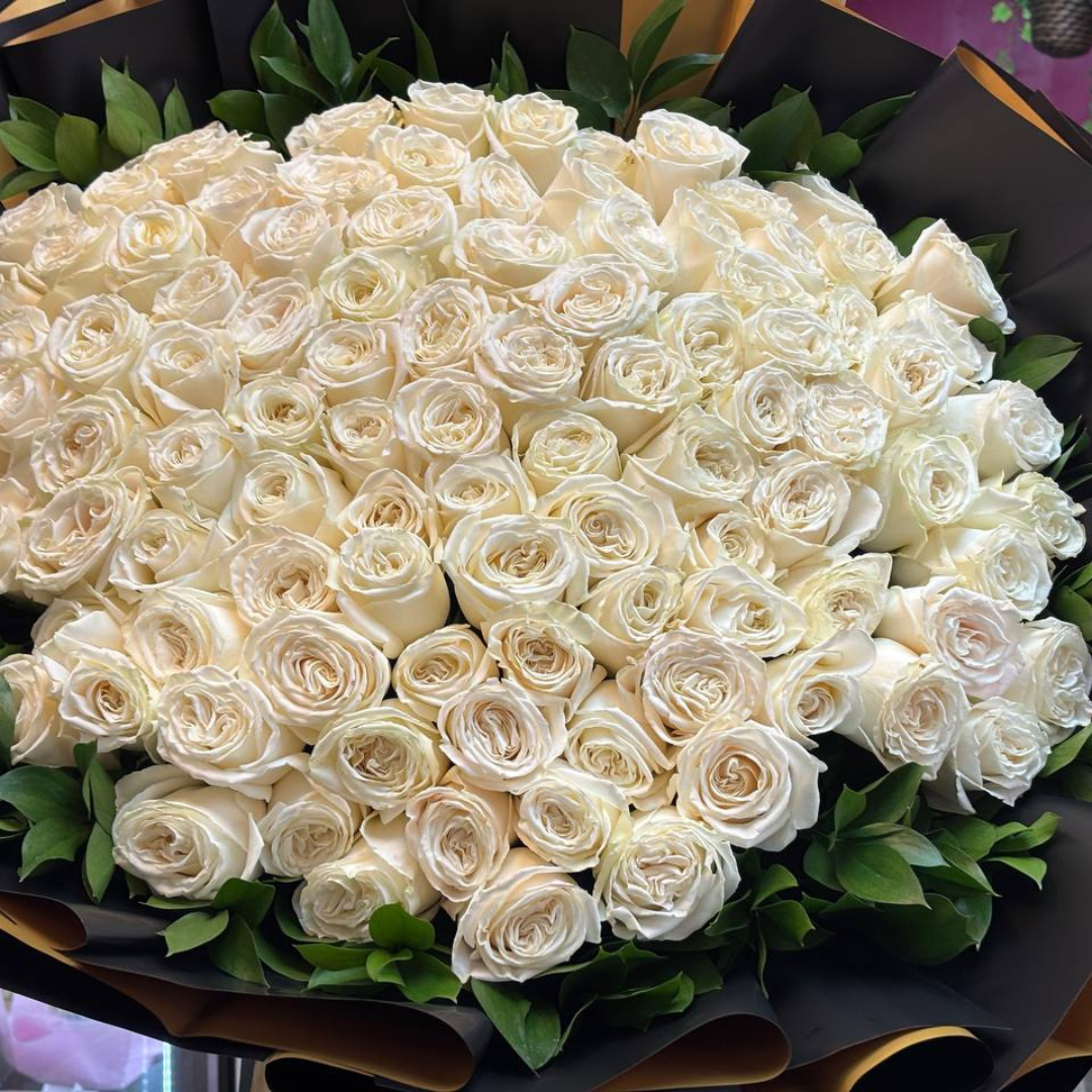 101 White Roses Flower Bouquet – OH MY GOD FLOWERS